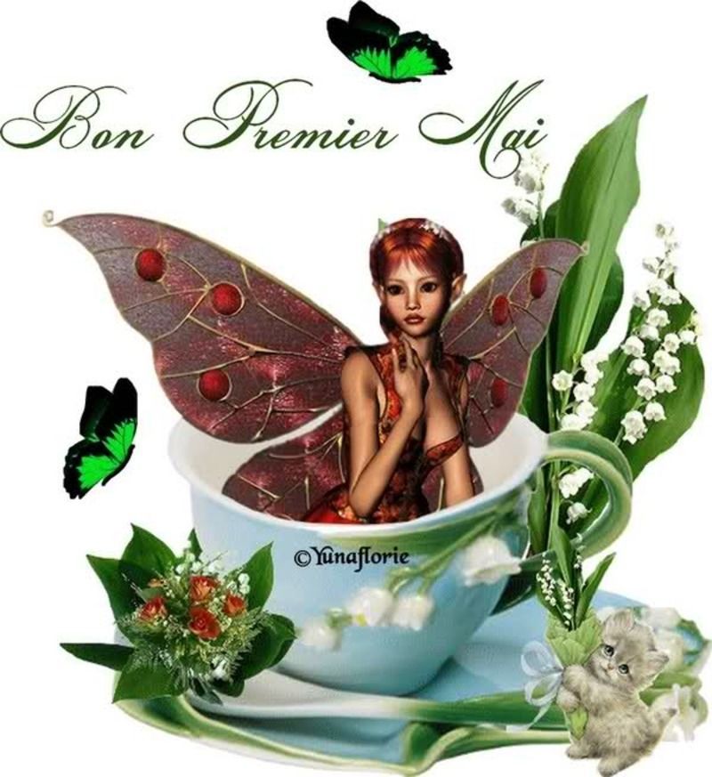1er MAI MUGUET PAPILLONS FEE ET CHATON - Centerblog