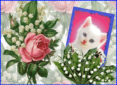 1er MAI MUGUET ET PETIT CHATON - Centerblog